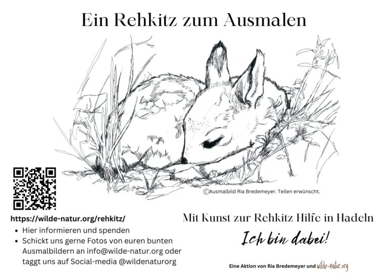 Rehkitz Rettung: Wie rettet man Rehkitze? Alle Infos hier!
